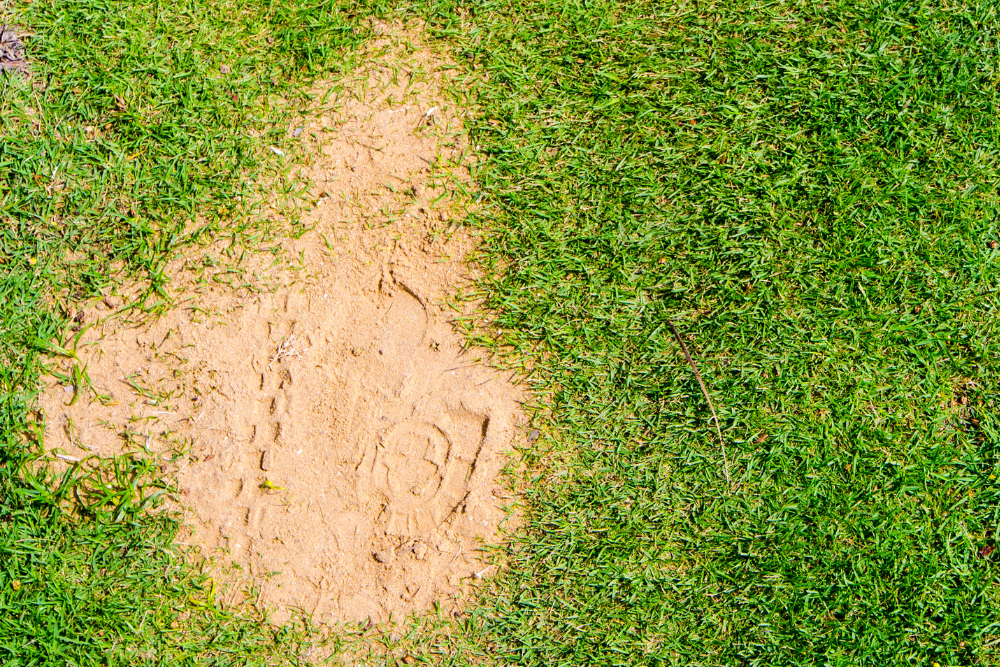4 Reasons to Use Sand on Your Lawn