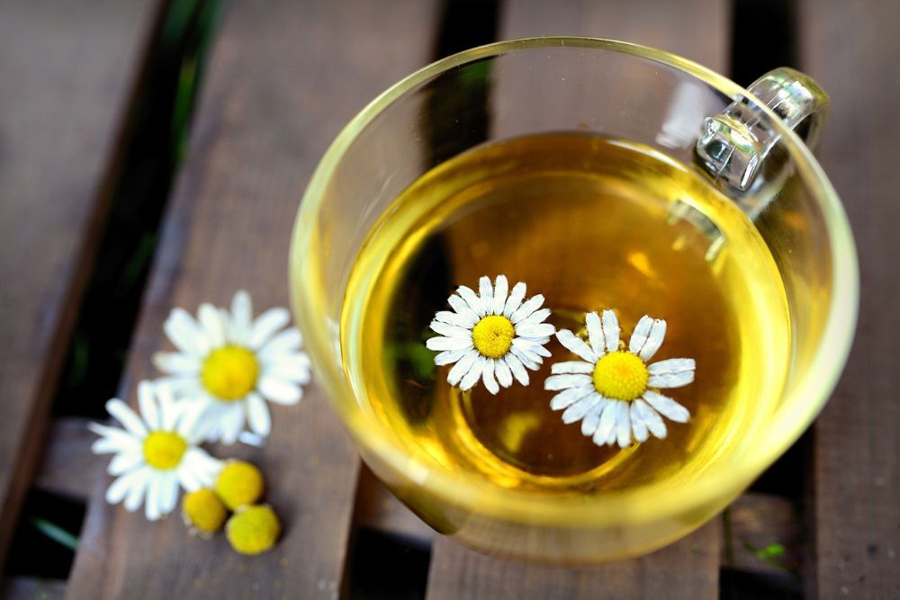 Why You Should Use Chamomile Tea in Your Garden