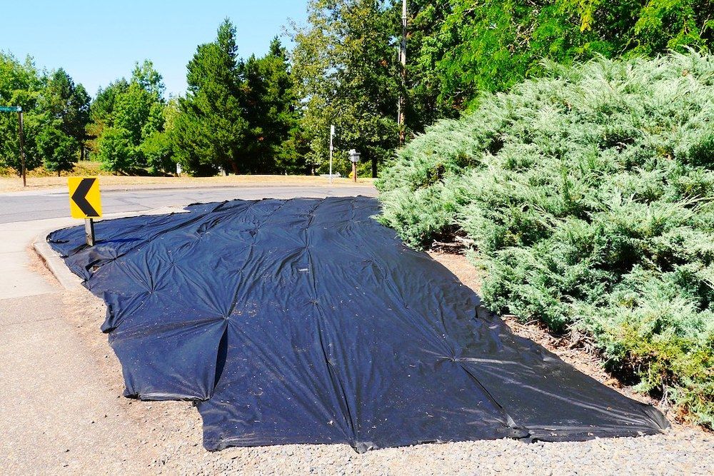 How to Warm Your Soil for Optimal Plant Growth