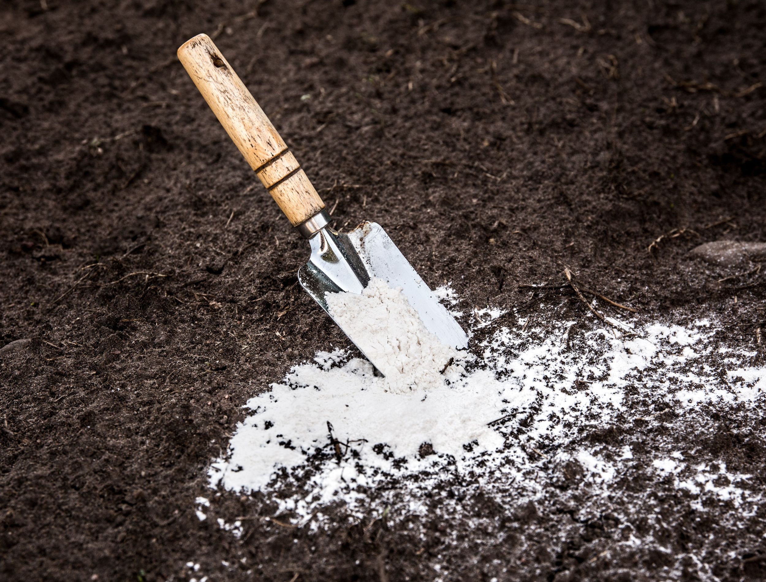 When and How to Apply Lime to Your Lawn