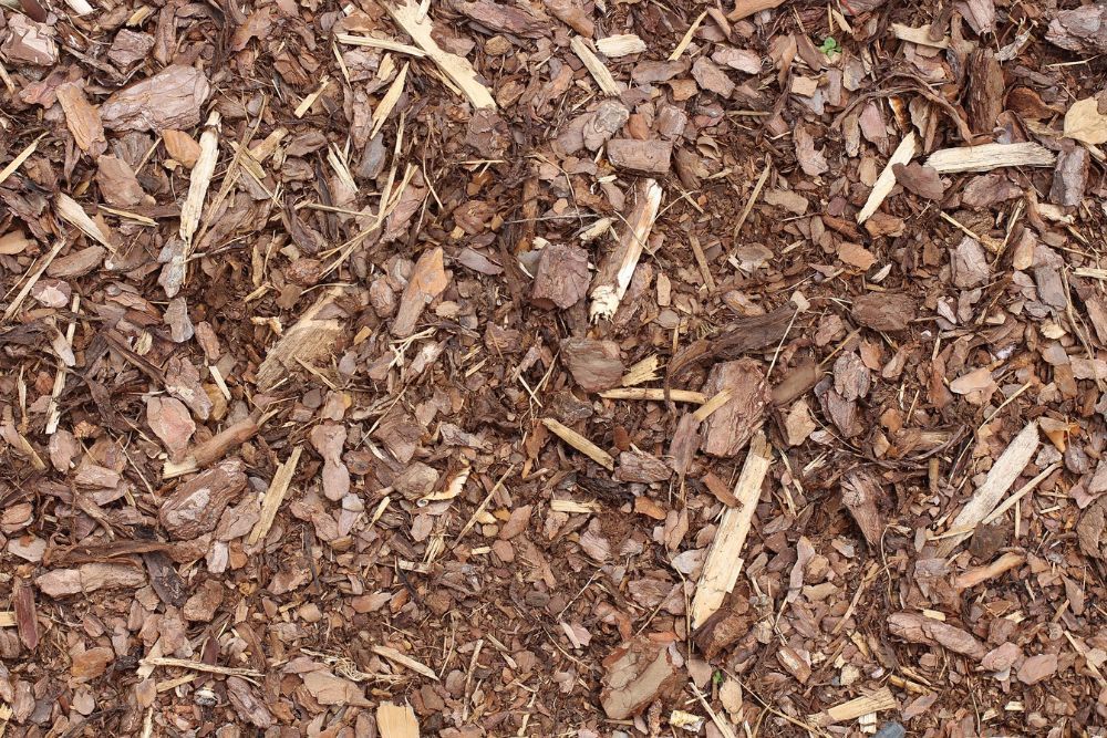 The Best Mulch For Your Hydrangeas