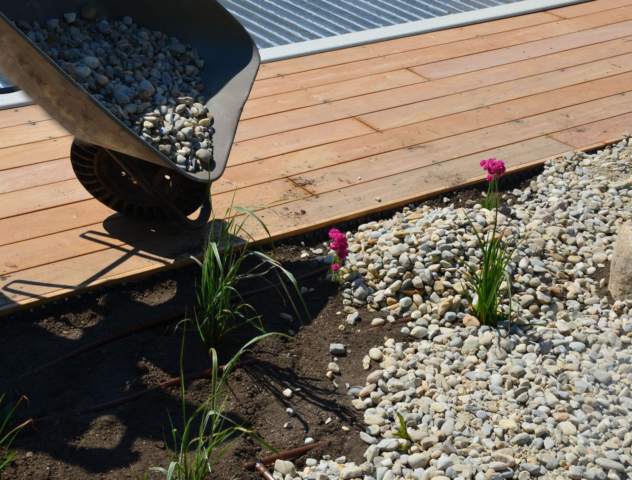 How to Use Pebbles as Mulch