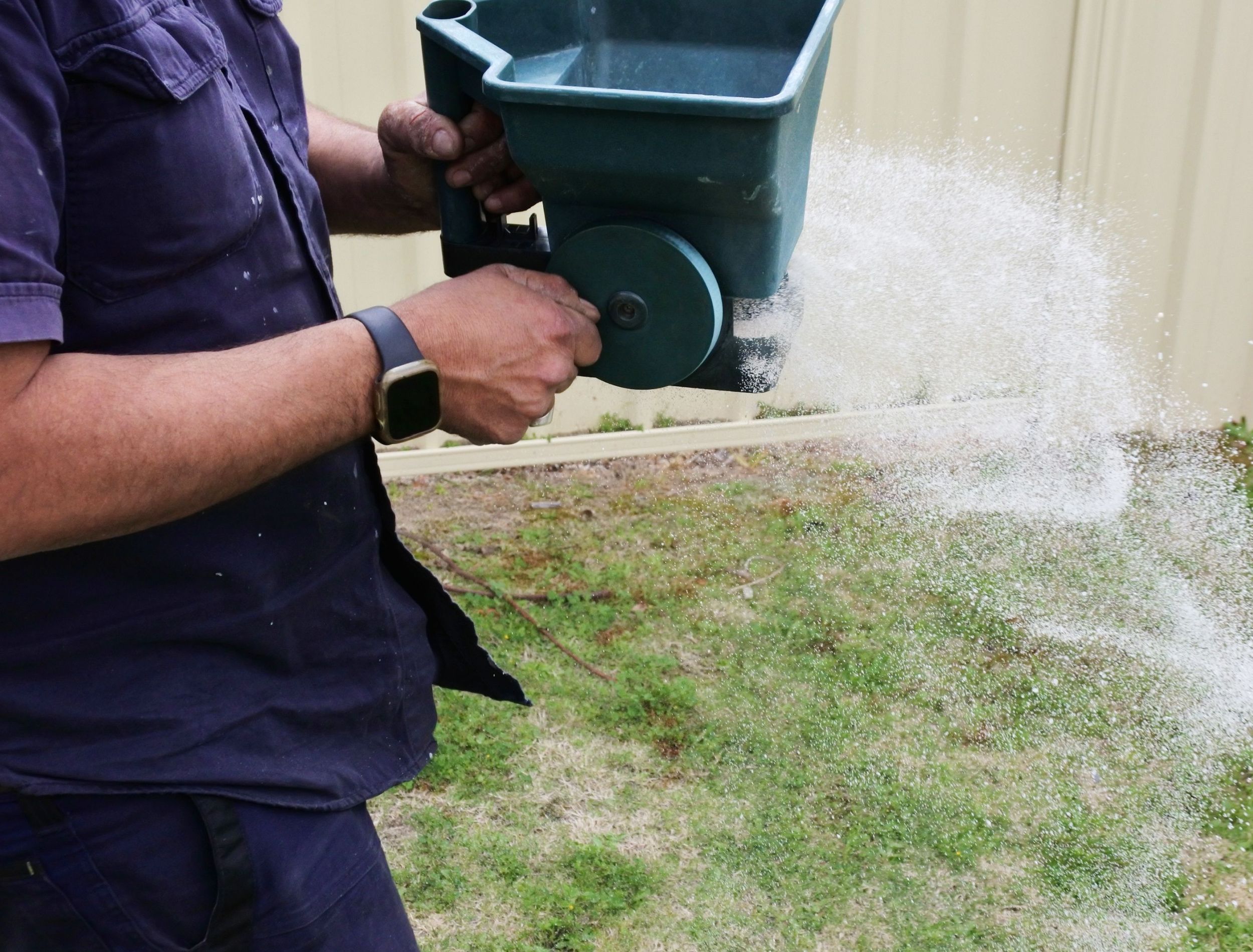 3 Reasons to Use Lime on Your Lawn