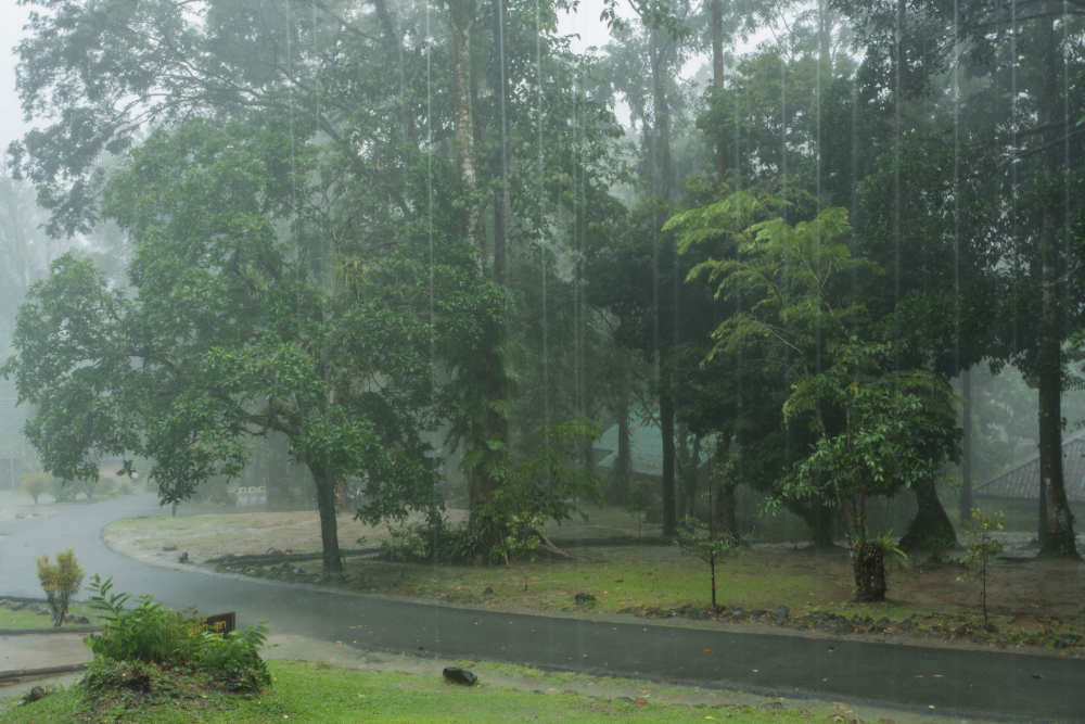 6 Ways to Water Your Garden Better