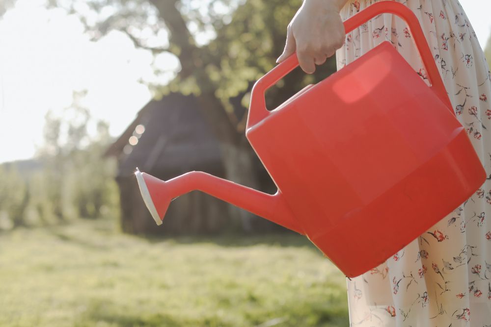 6 Ways to Water Your Garden Better