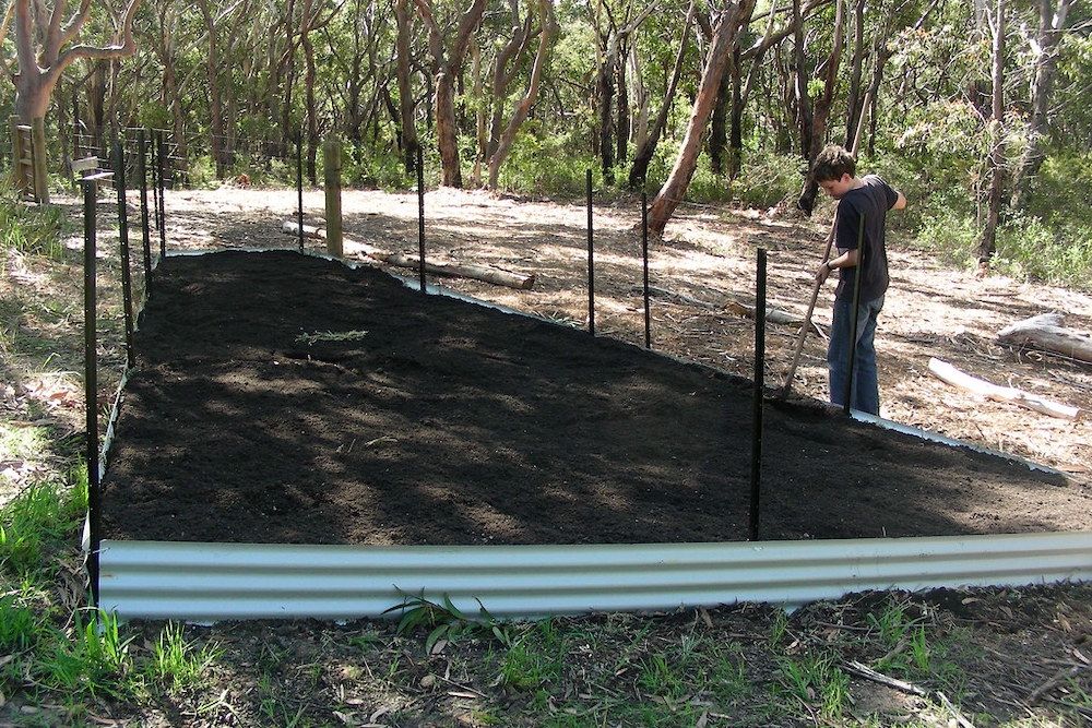 Transform Your Lawn with Potting Soil: Step-by-Step Seeding Guide