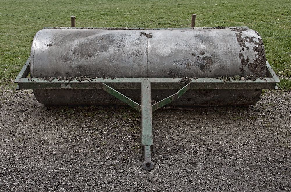 Transform Your Lawn with Potting Soil: Step-by-Step Seeding Guide