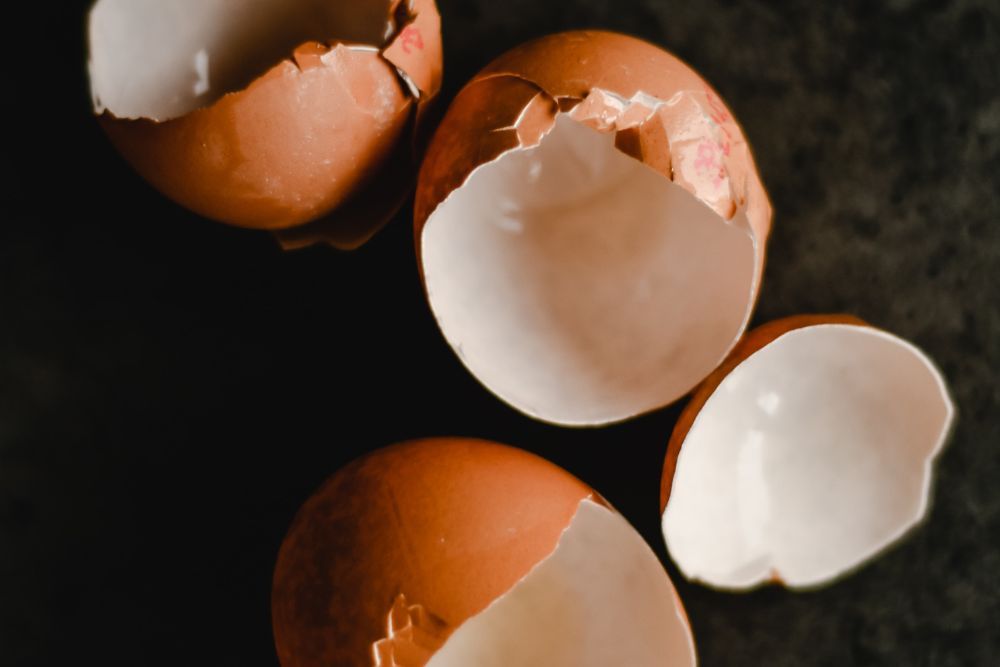 How to Fertilize Your Orchid