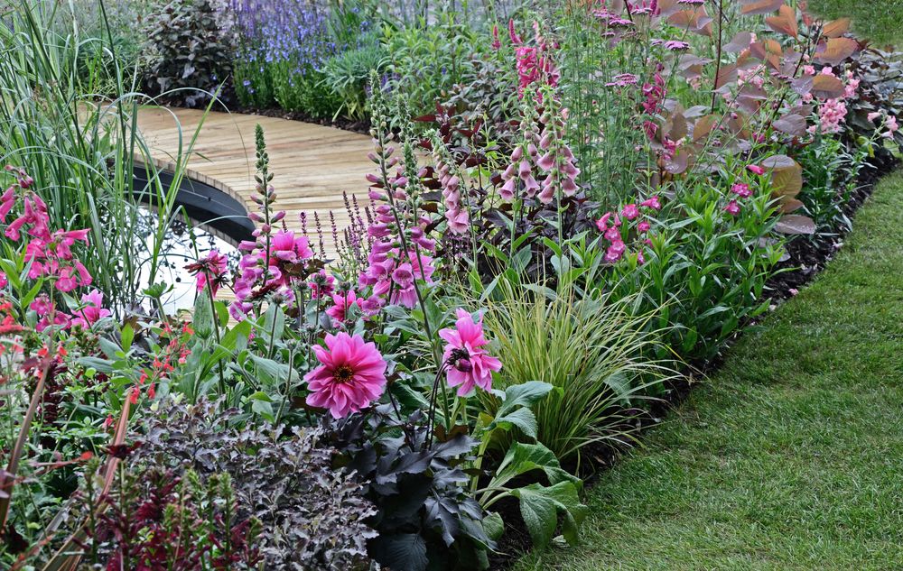 What Is a Chaos Garden & How to Plant One