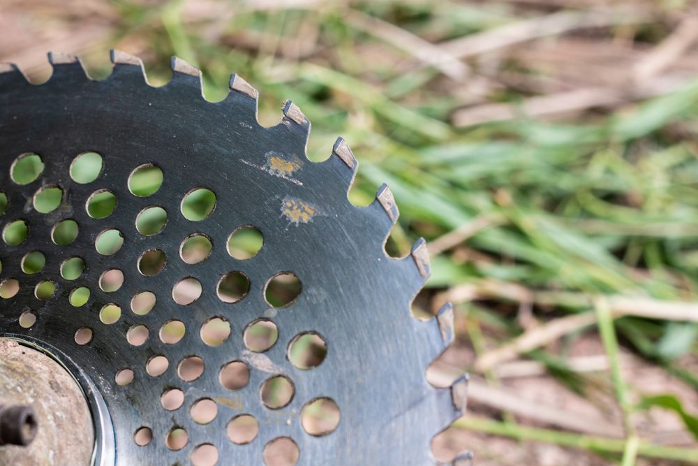 7 Mowing Tips for a Better Lawn