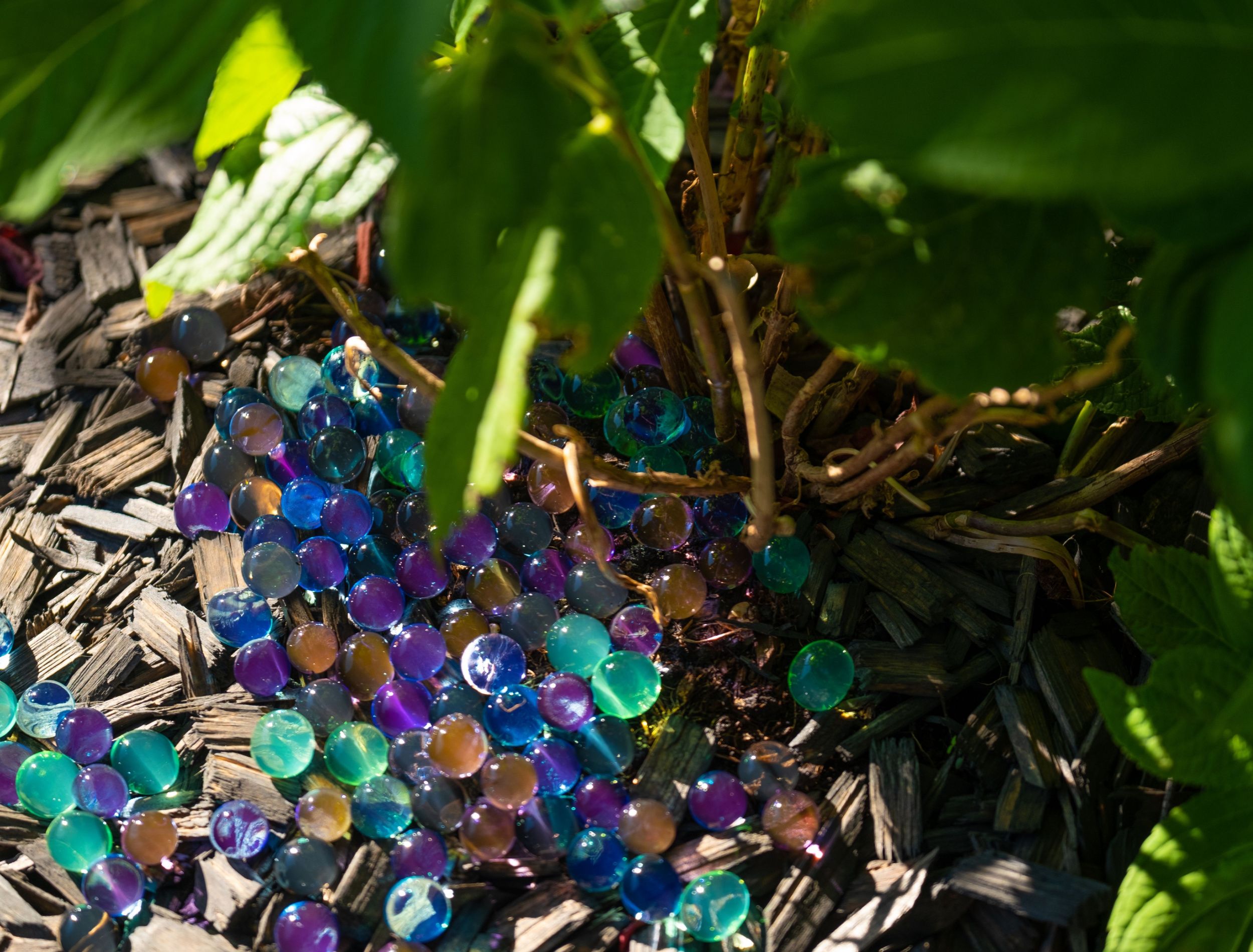 5 Ways to Keep Your Soil Moist in Summer