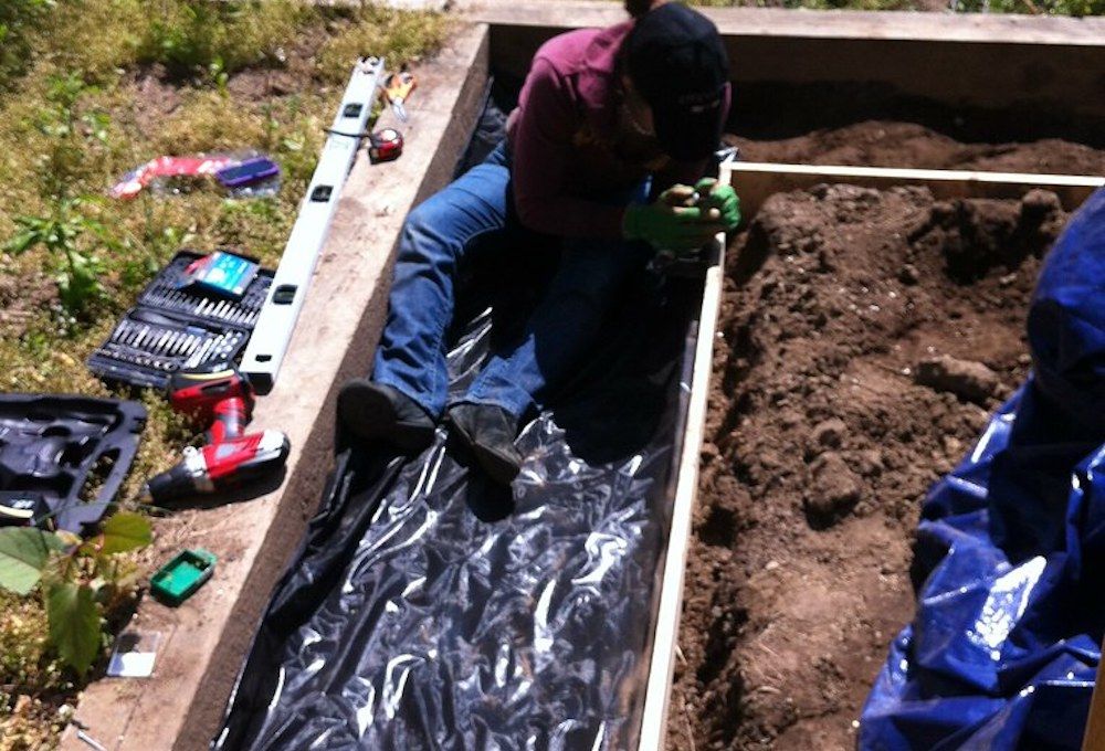 The Best Mulch For Your Rose Bushes