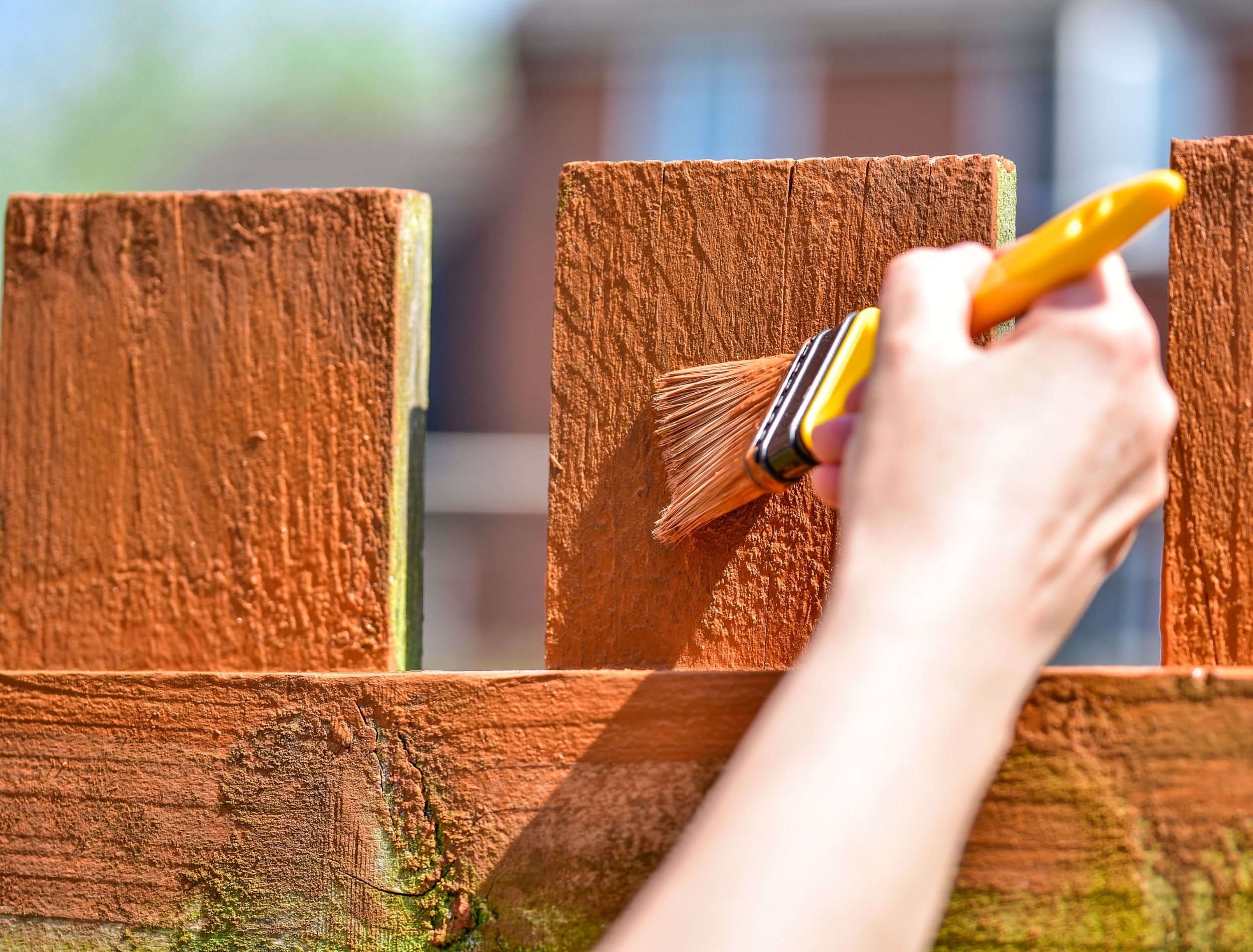 DIY & Projects | BackyardBoss