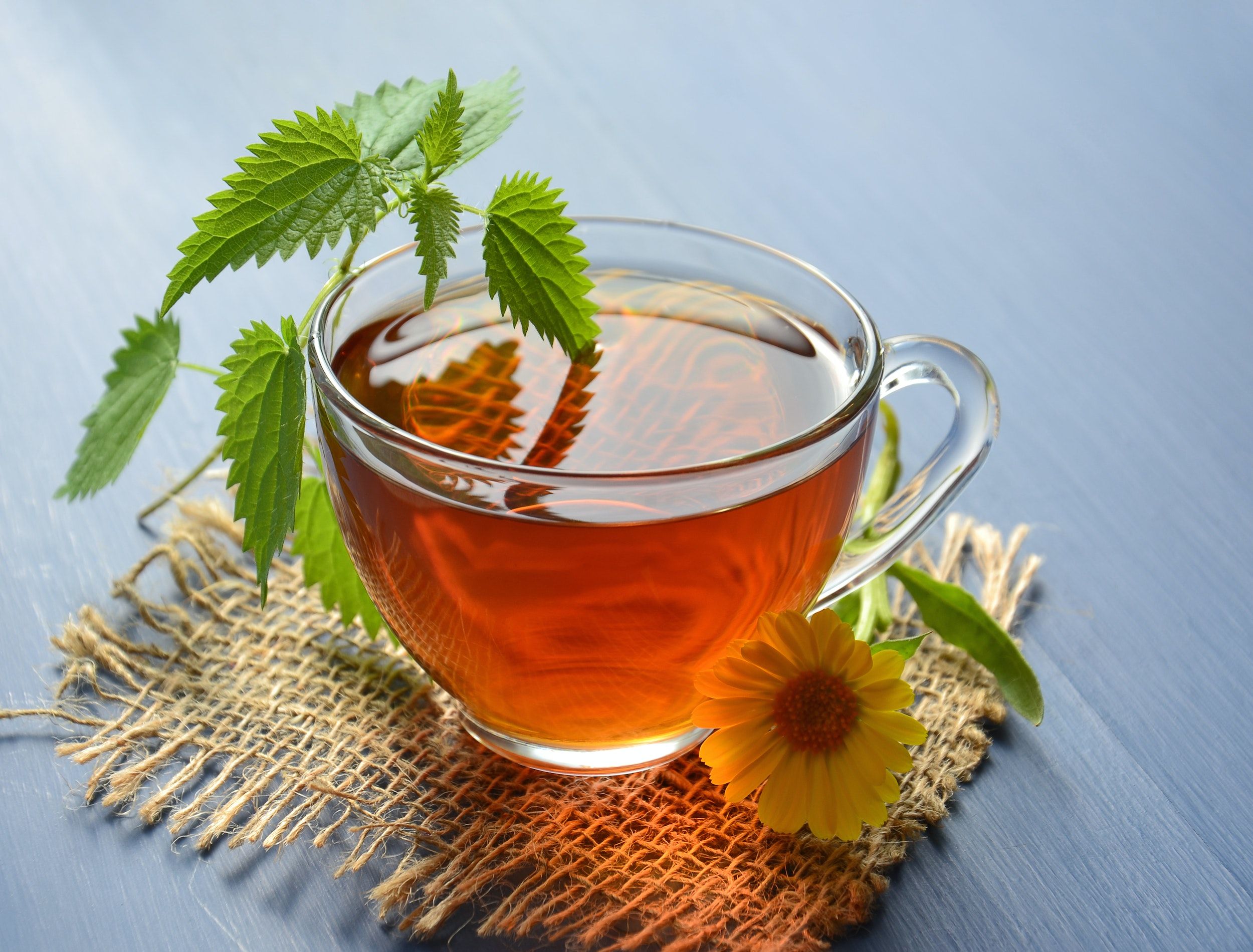 How to Use Chamomile Tea to Prevent Damping Off