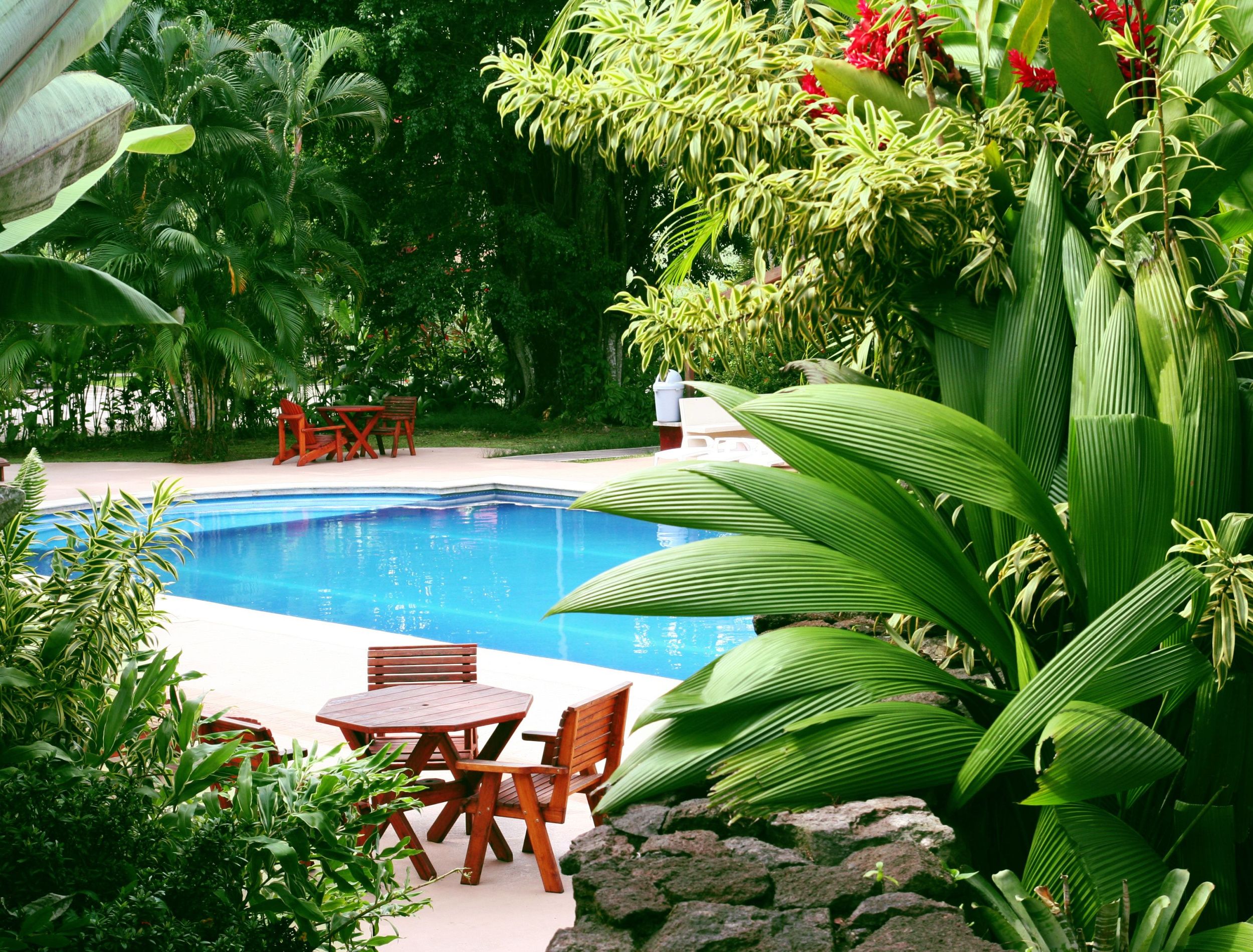 Pool Landscaping Themes You'll Love
