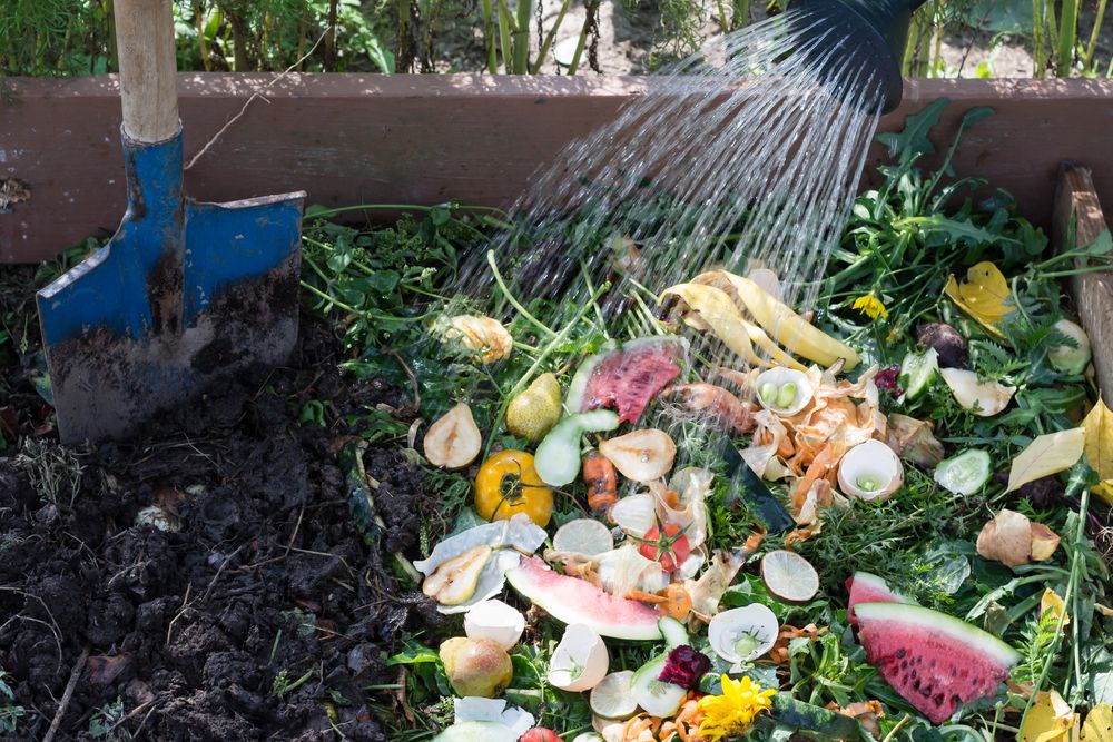 Why You Should Add Epsom Salt to Your Compost Pile
