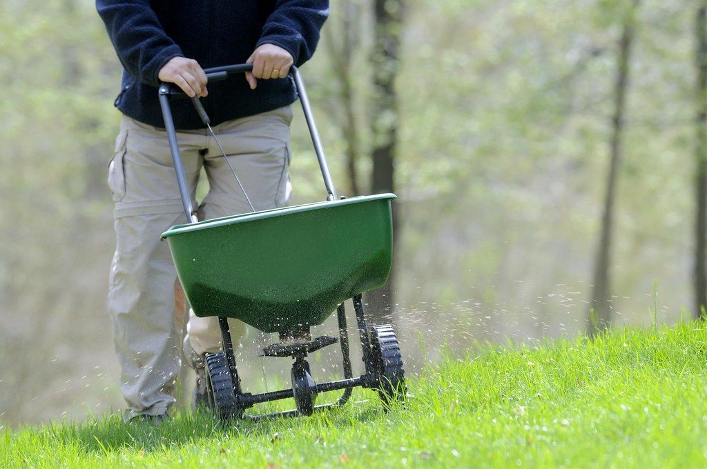 7 Tips For Fertilizing Your Lawn in Fall