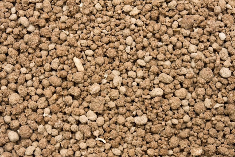 5 Best Fertilizers For Apple Trees