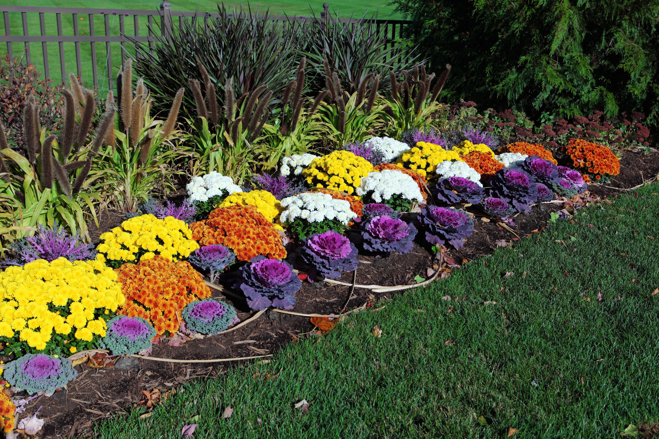5 Fabulous Fall Flower Garden Ideas