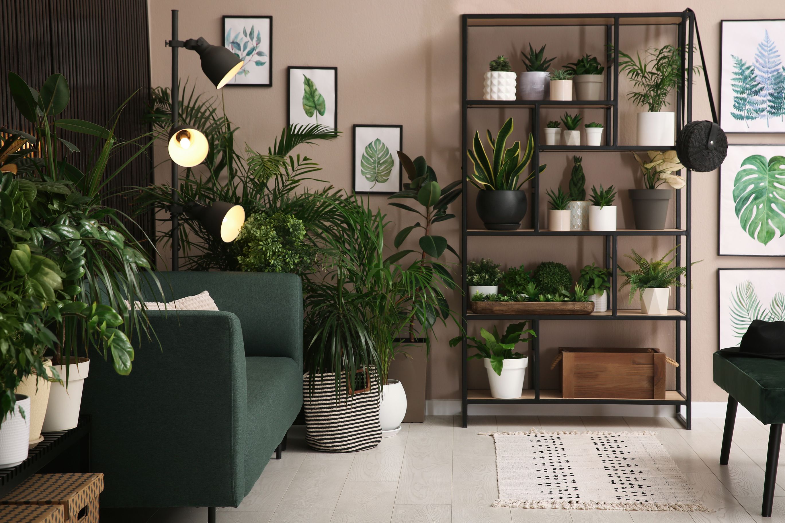 7 Tips For Designing Your Indoor Garden