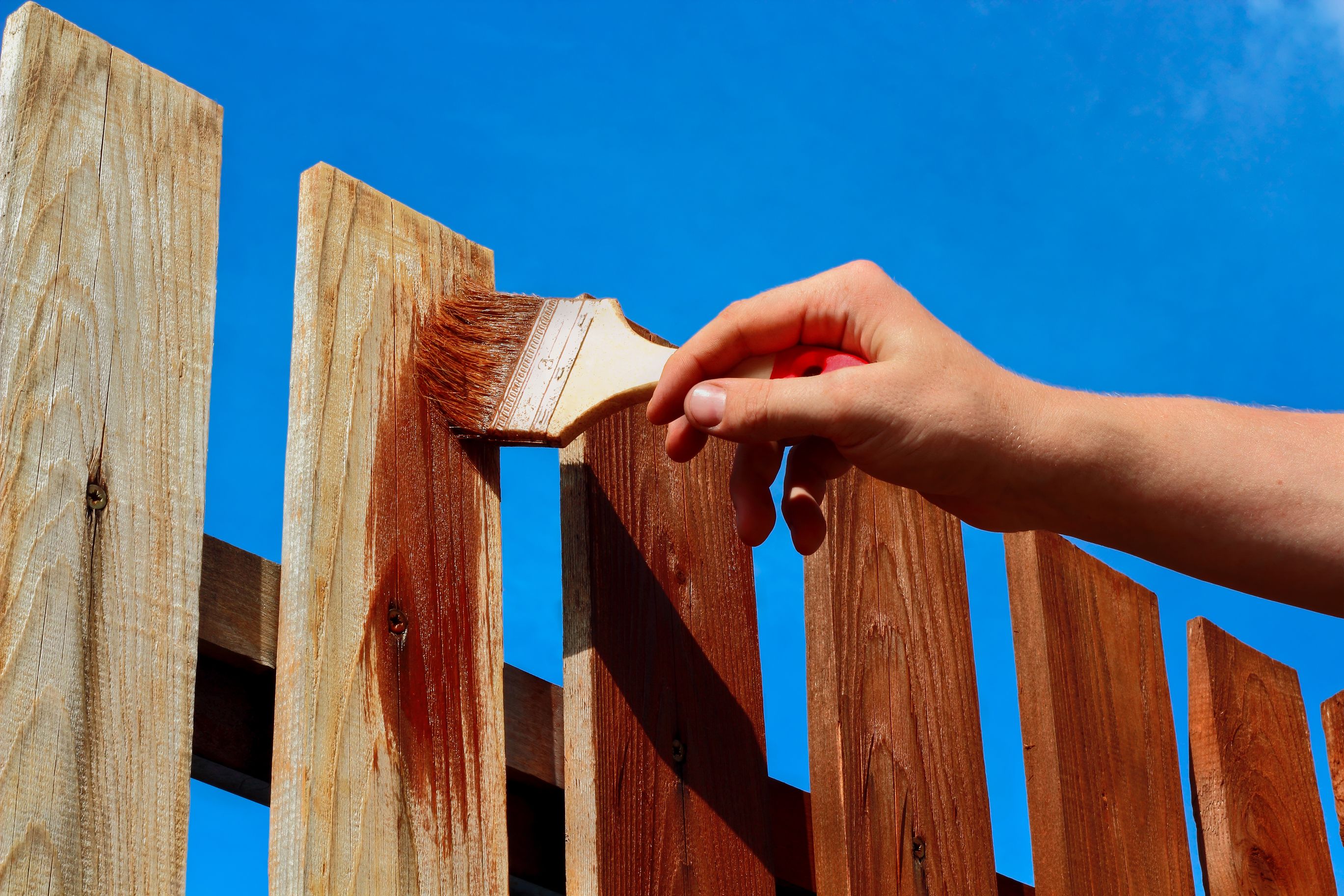 The Only Colors You Should Paint Your Backyard or Garden Fence