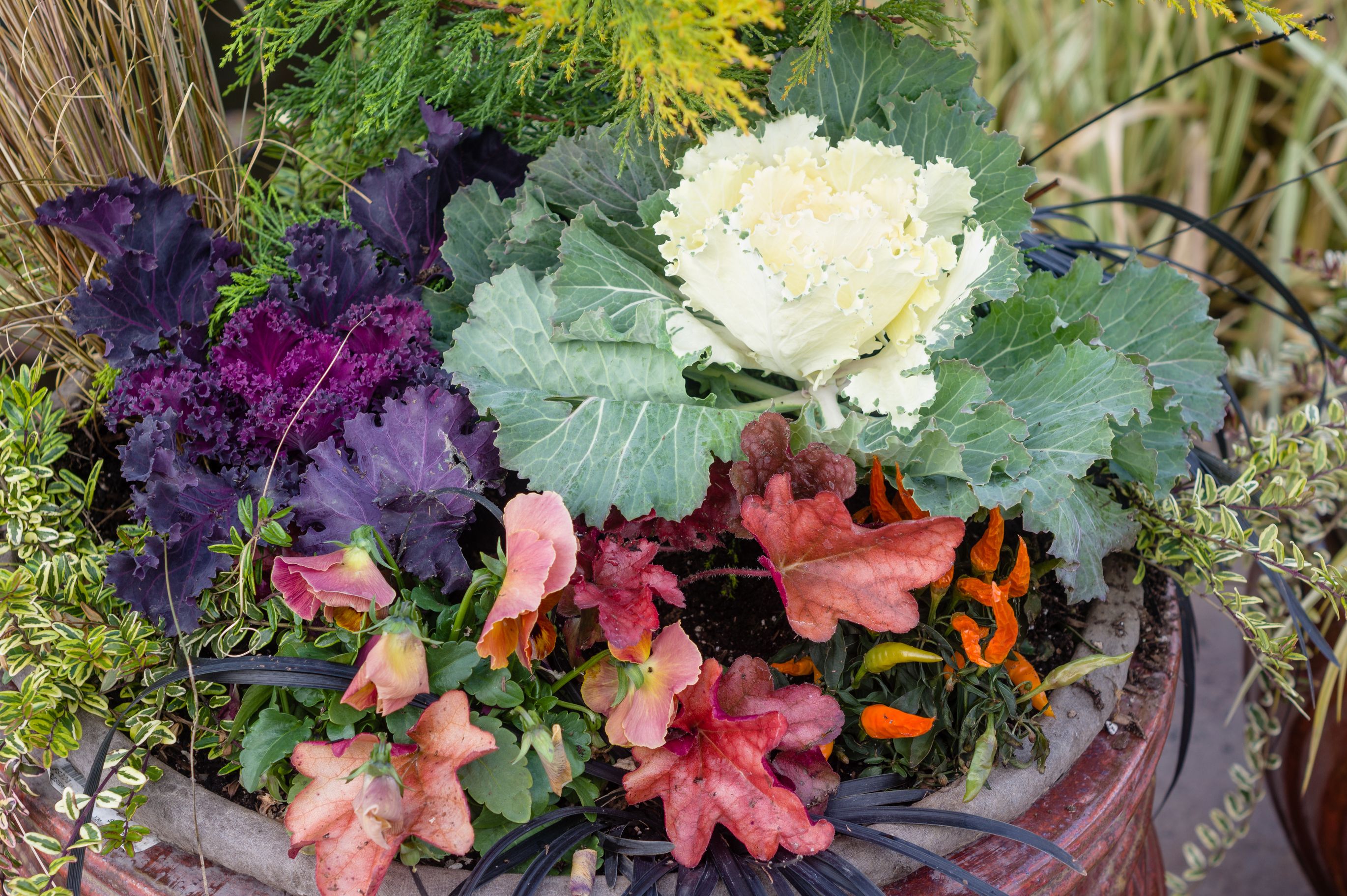 4 Fall Container Garden Ideas