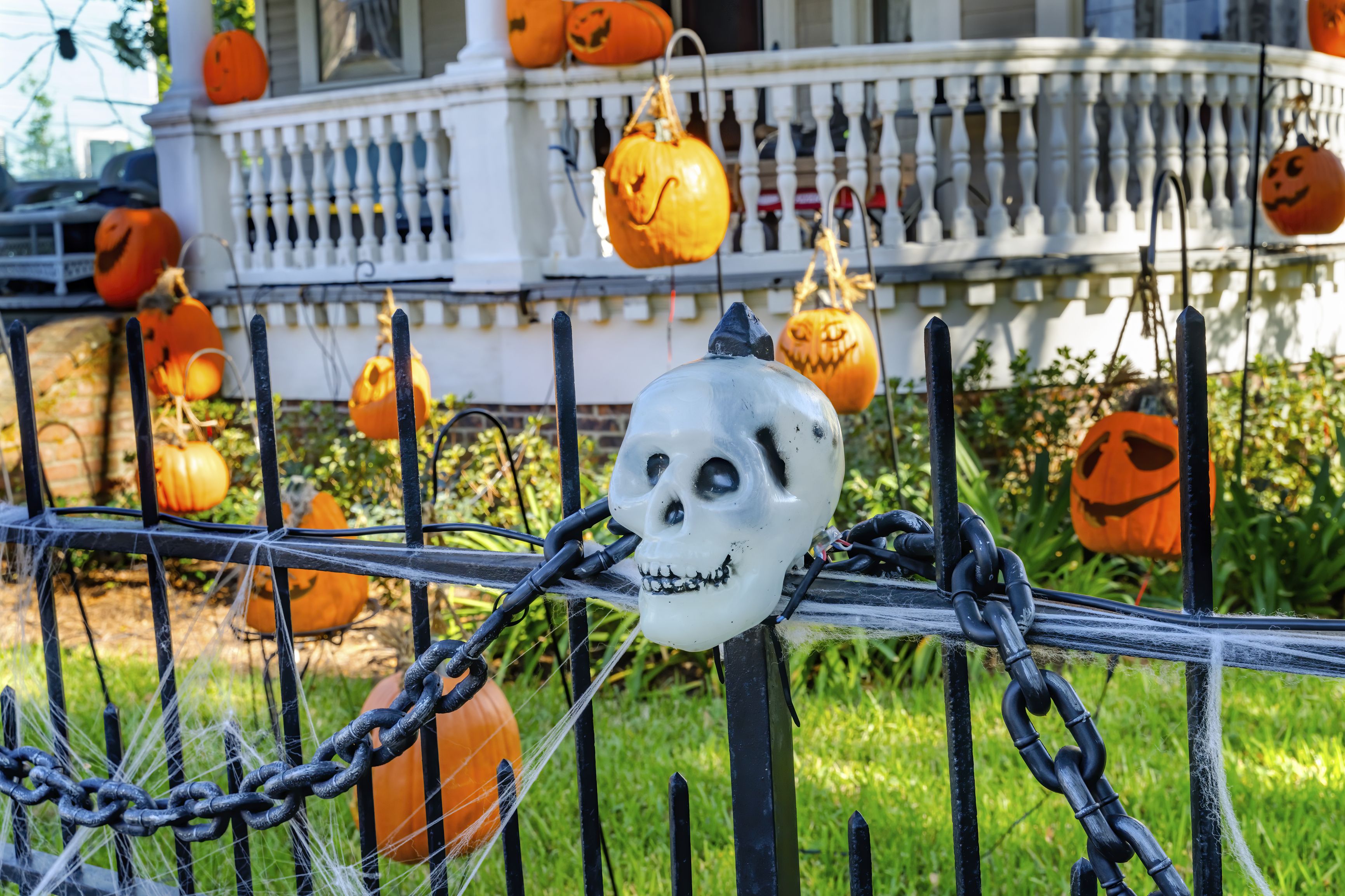 6 Spooky Ideas to Decorate Your Fence For Halloween
