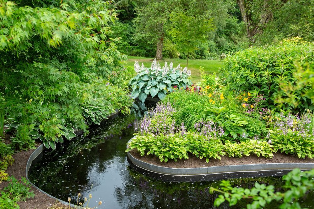 How to Choose The Right Hosta For Your Garden