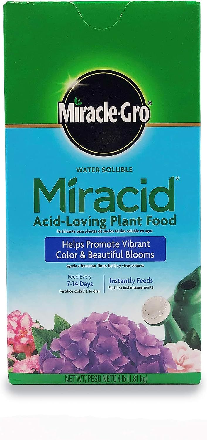 7 Best Fertilizer for Rhododendrons