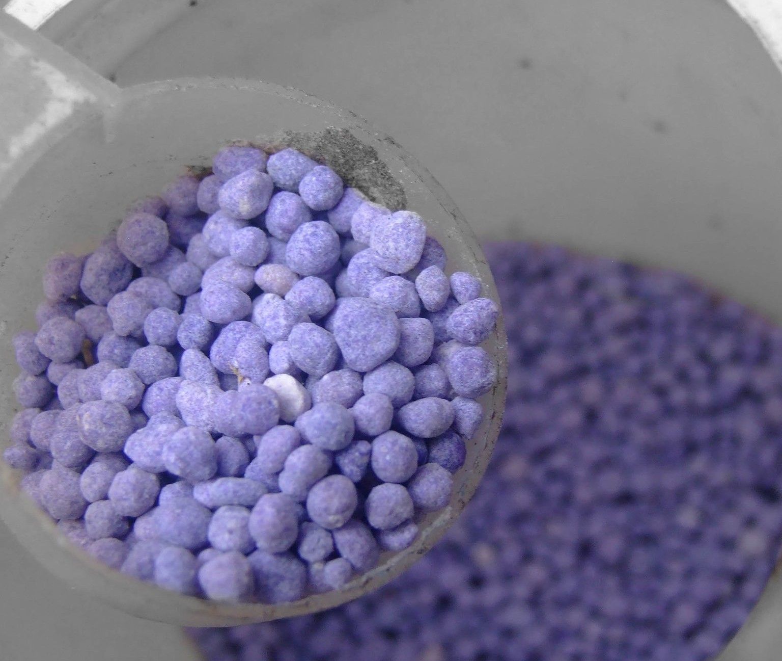 7 Tips For Fertilizing Your Lawn in Fall