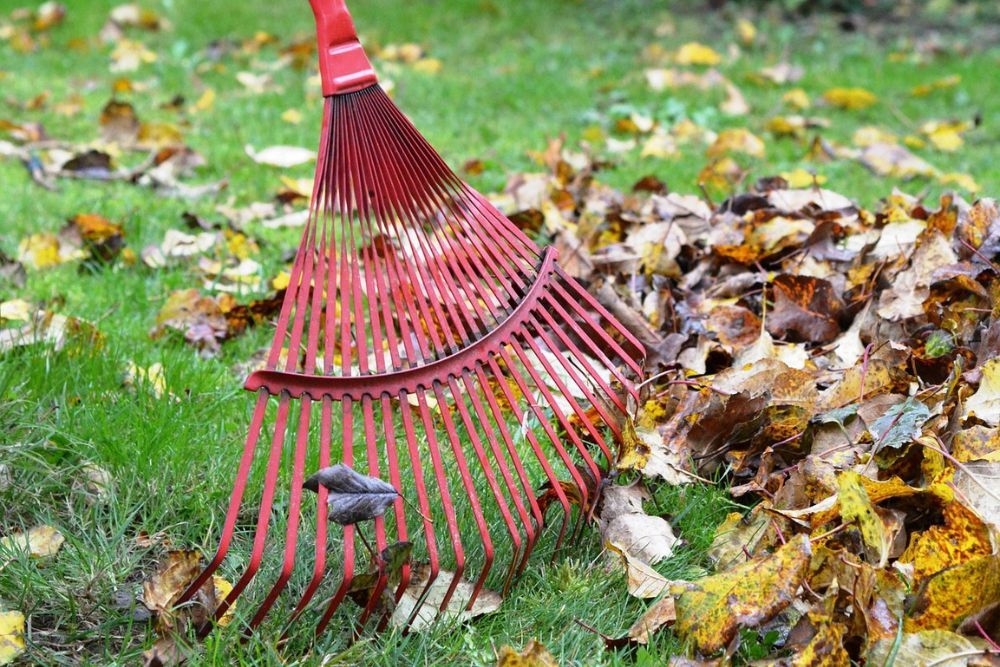 The Best Mulch For Garlic