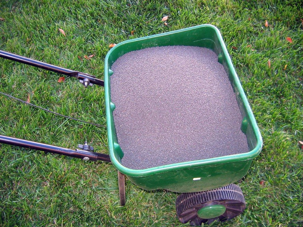 7 Tips For Fertilizing Your Lawn in Fall