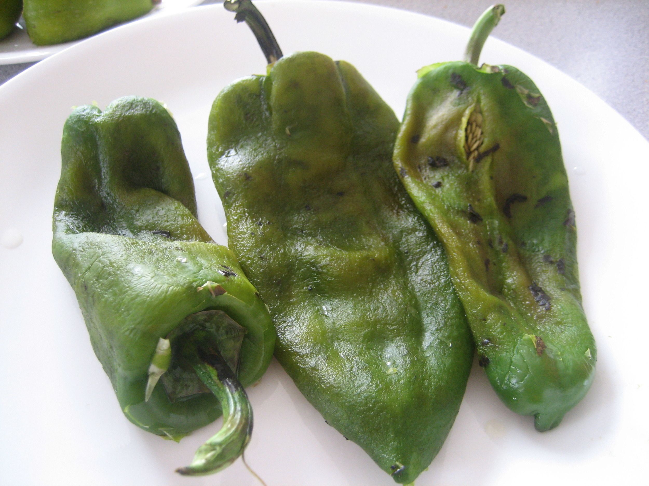 7 Tips For Harvesting Poblano Peppers 7 Tips For Harvesting Poblano Peppers