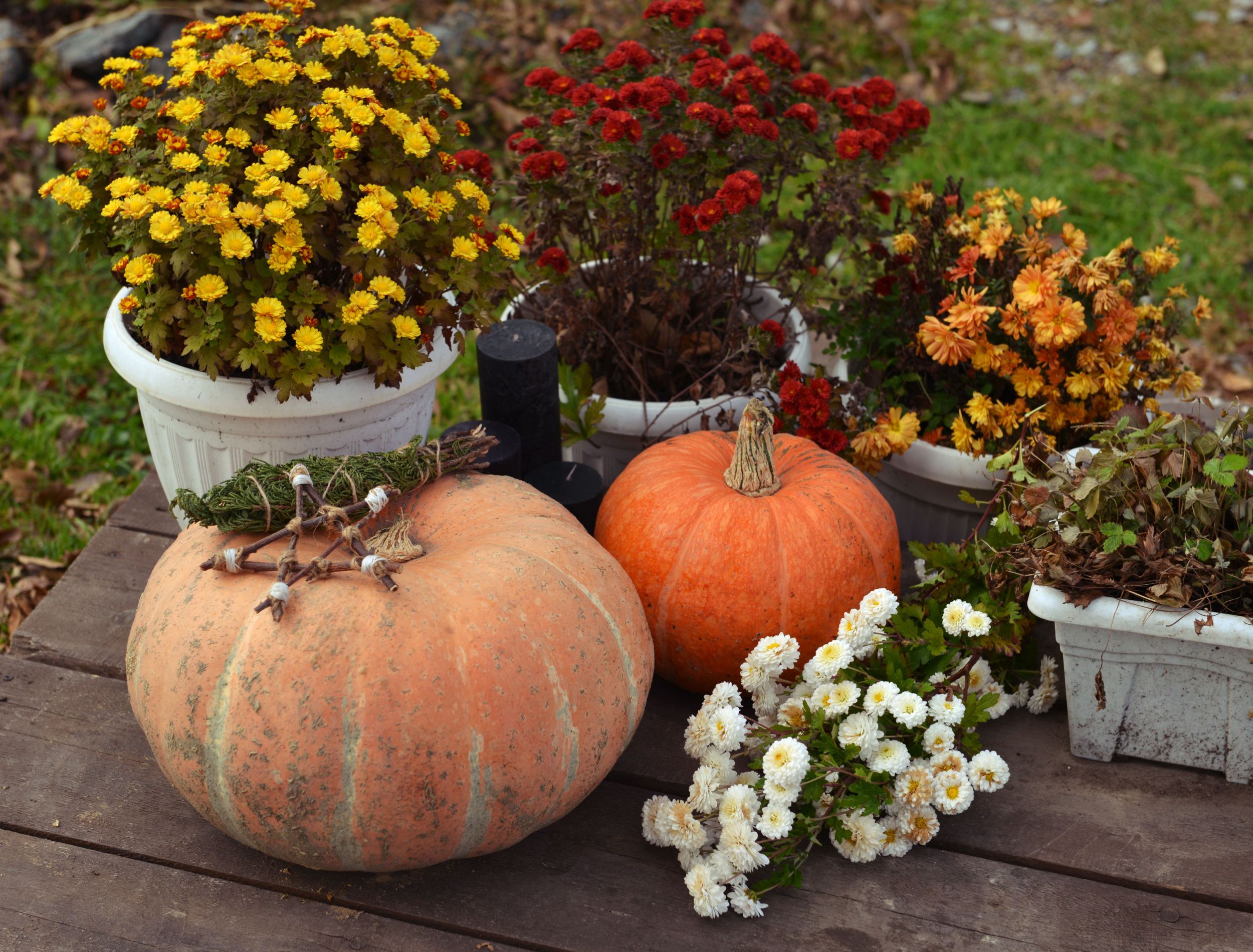 4 Fall Container Garden Ideas