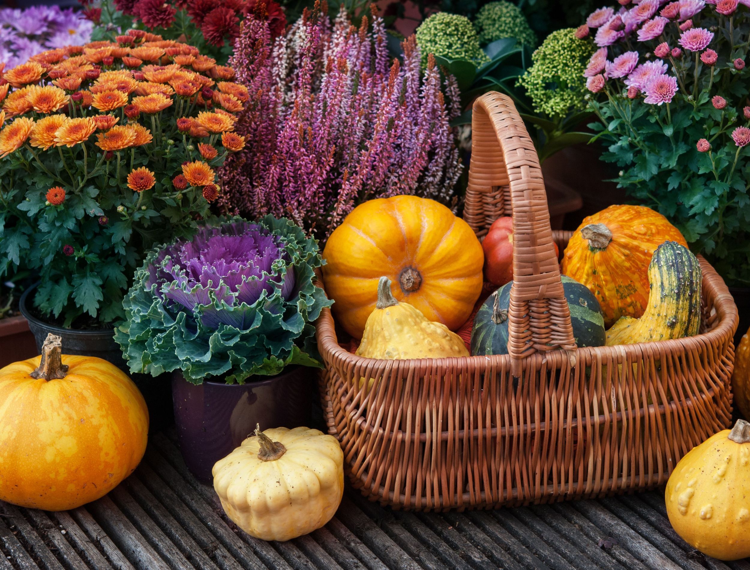 4 Fall Container Garden Ideas