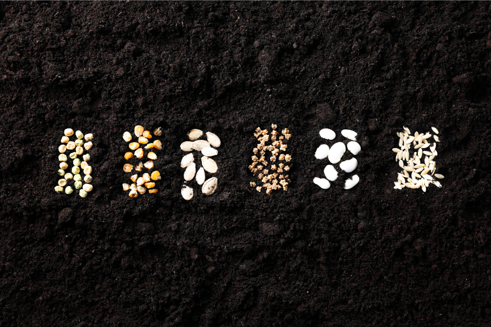 Hybrid vs. Heirloom Vegetables: What's the Difference