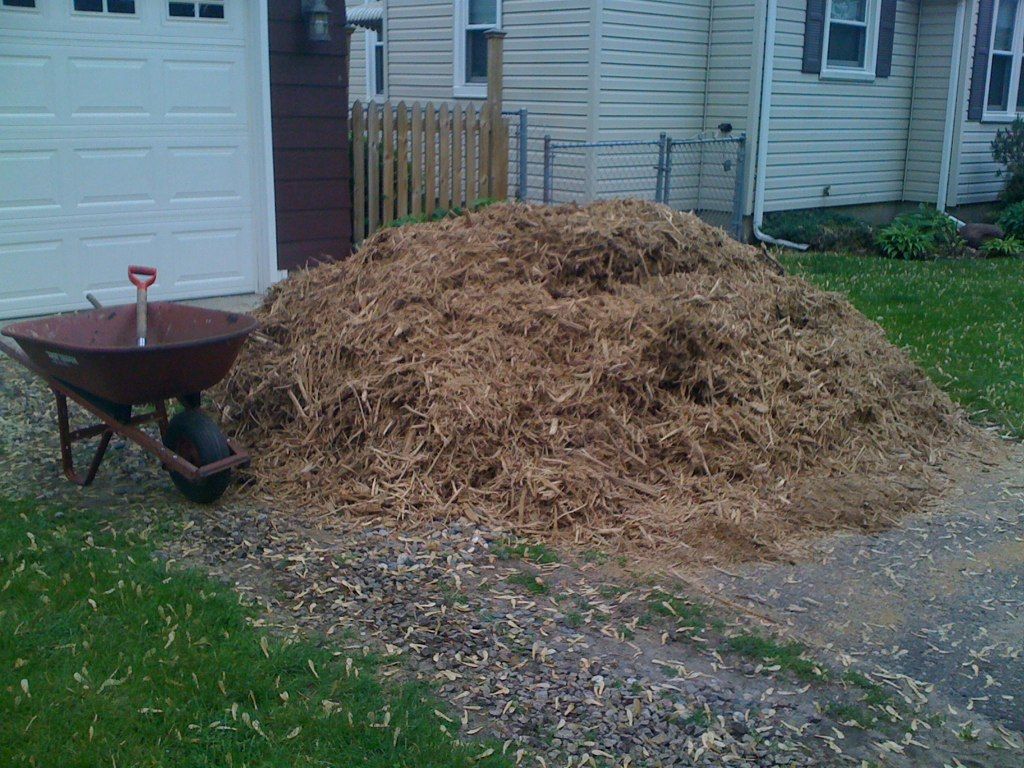 5 Ways to Improve Soil For a Healthy Lawn