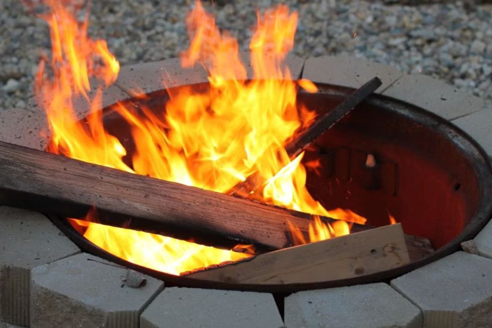 Hardwood vs Softwood: Which Is Better Firewood?