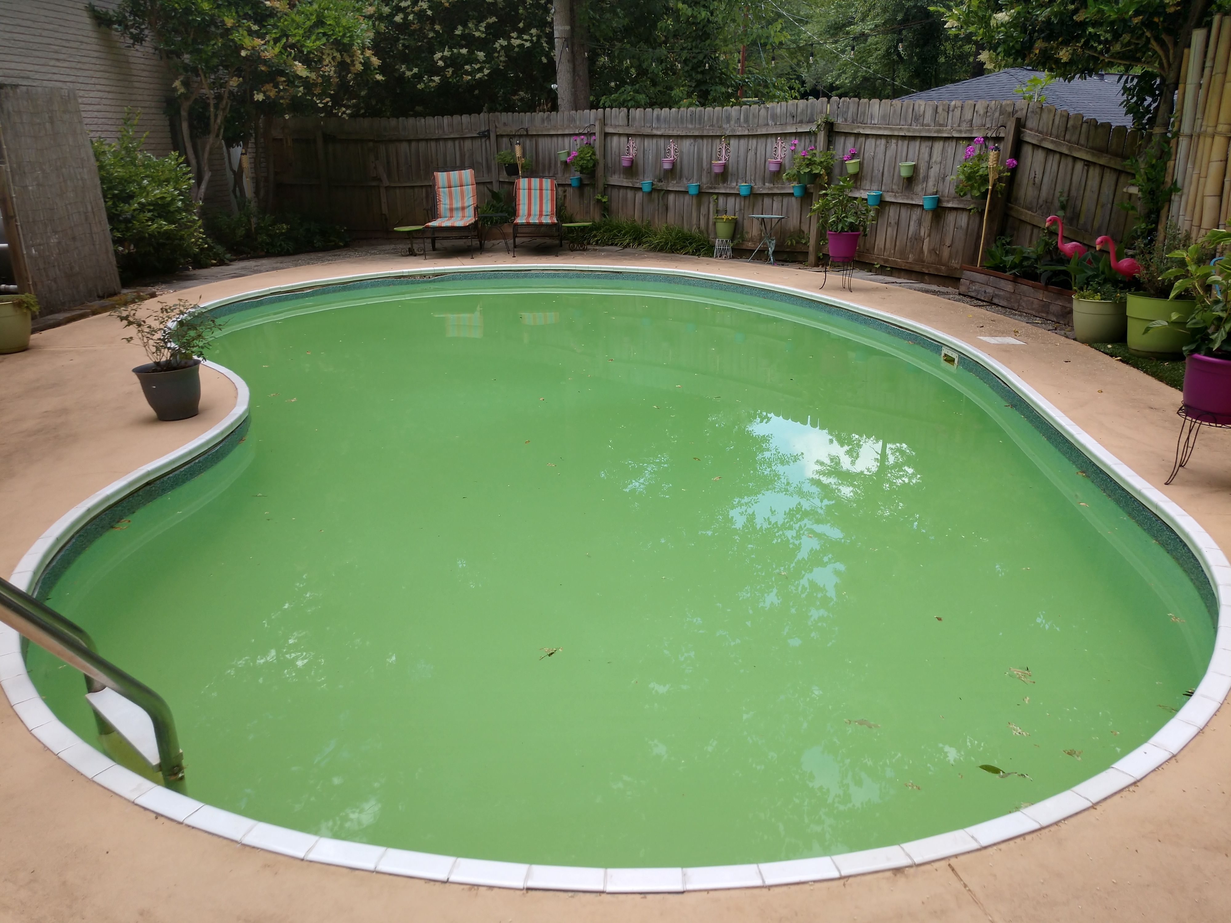5 Reasons Your Swimming Pool Is Green