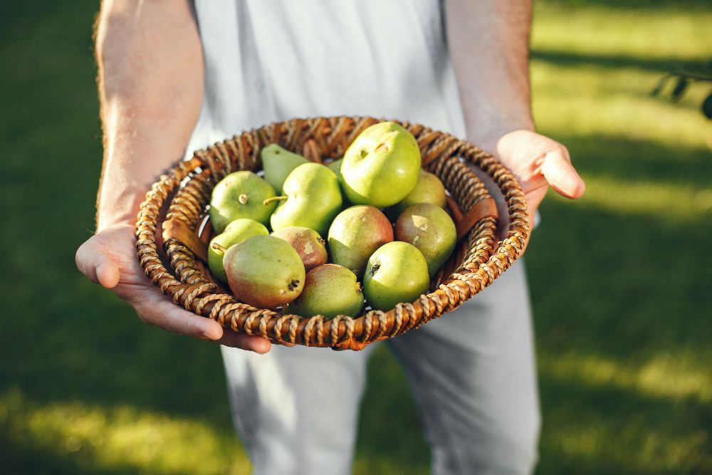 How to Grow Pear Trees