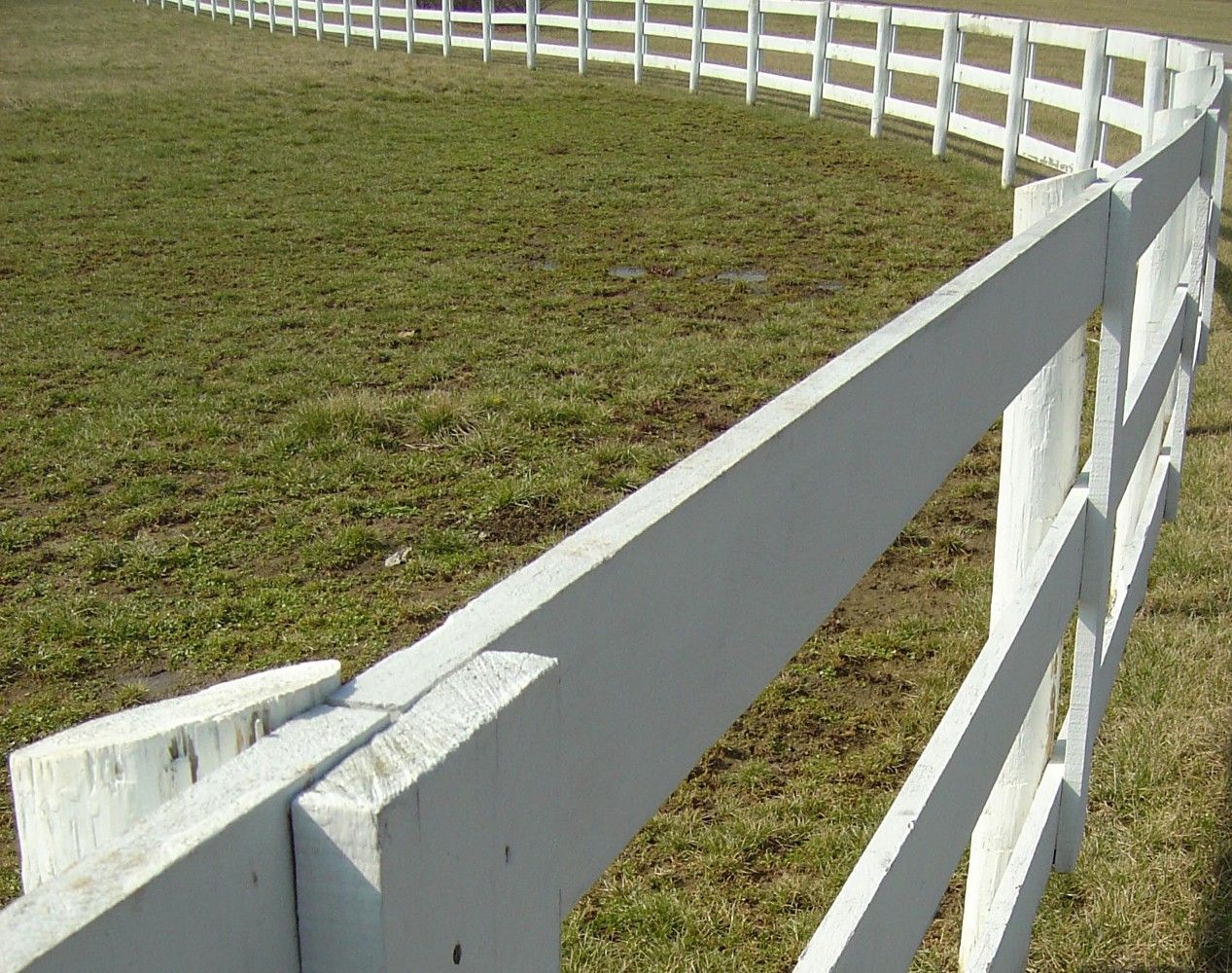 4 Charming Picket Fence Ideas For Your Landscape