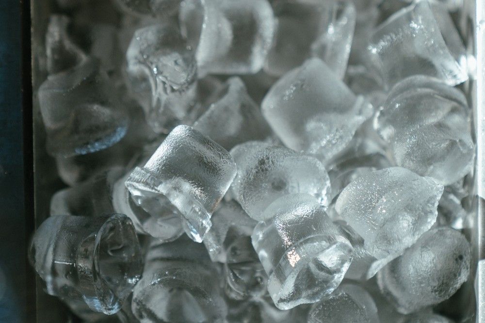 Should You Water Your Orchid With Ice Cubes?