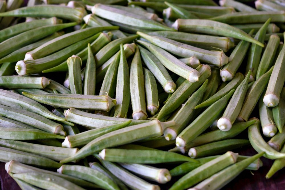 Grow Okra in Your Vegetable Garden Following These 6 Easy Steps