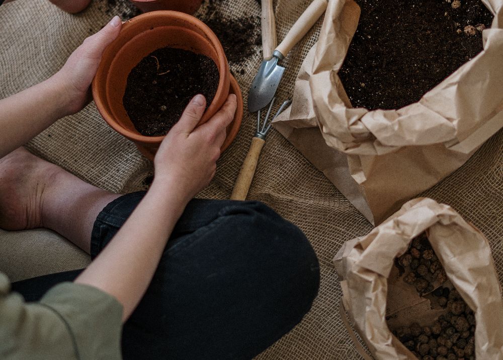 The Best Time to Plant Cover Crops