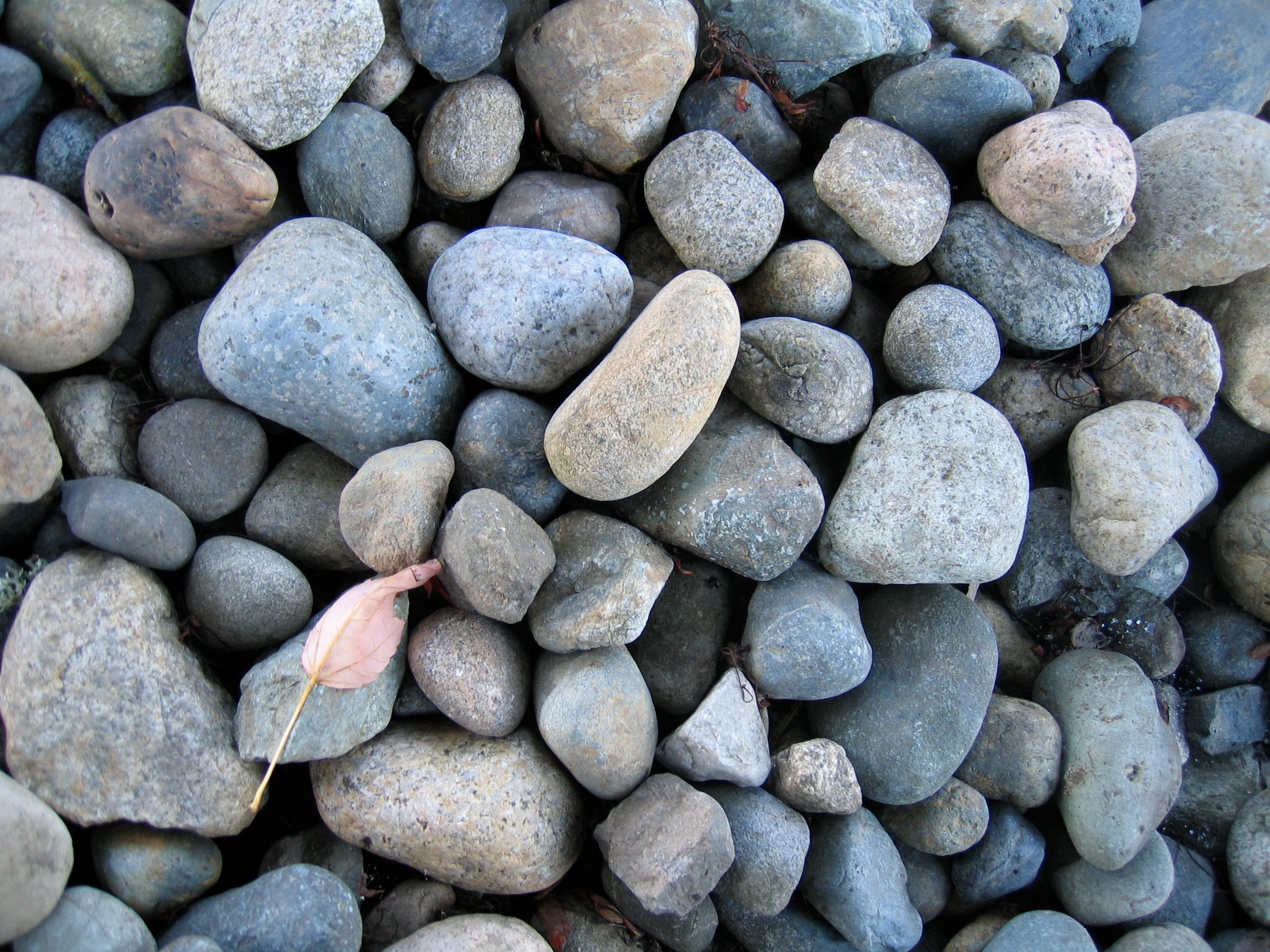 4 Types of Gravel Best For Your Driveway
