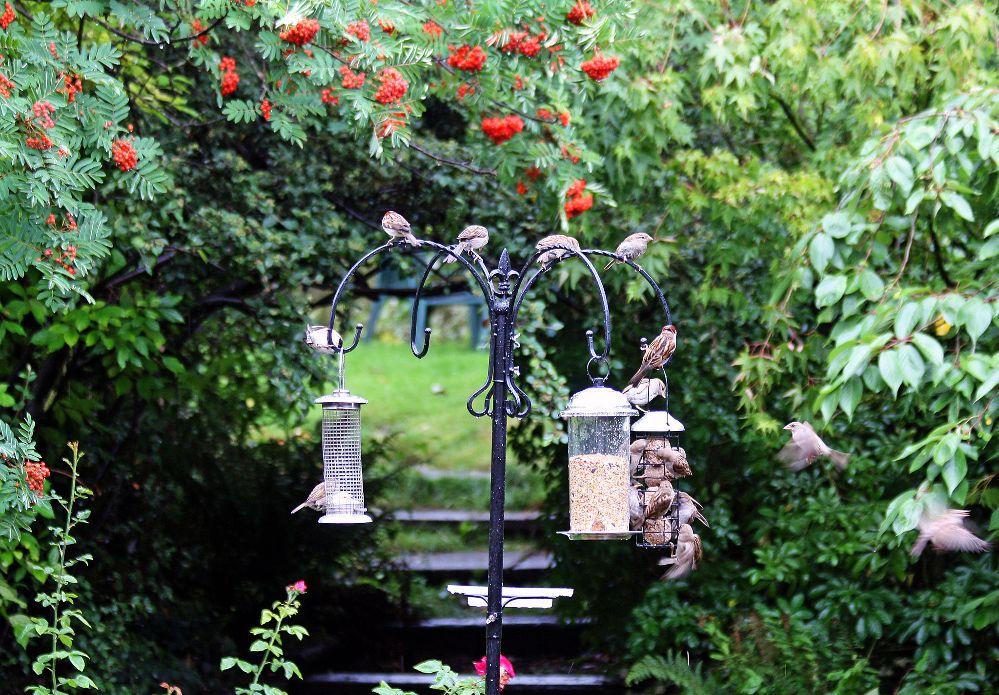 10 Small Backyard Ideas To Update Your Outdoor Oasis