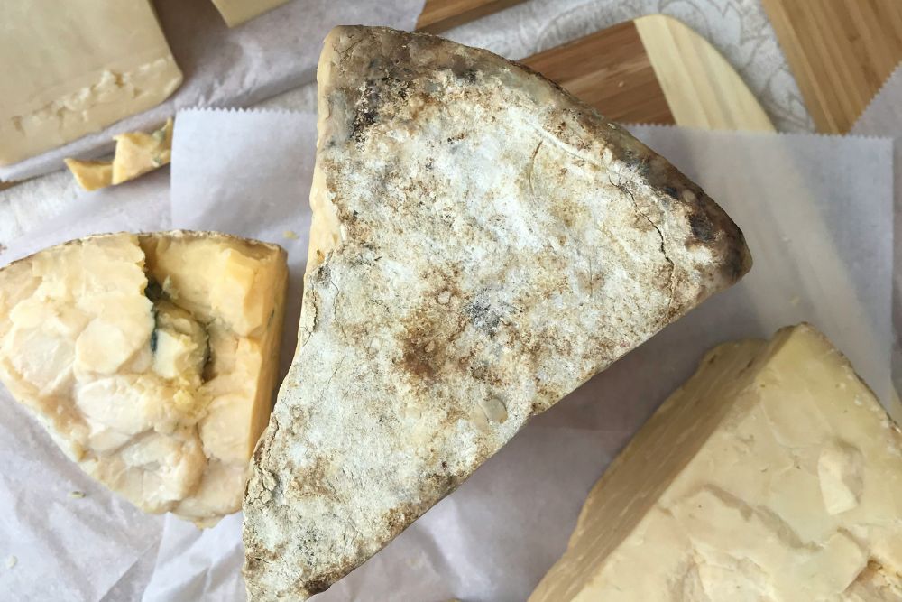 Can You Compost Diseased Plants?