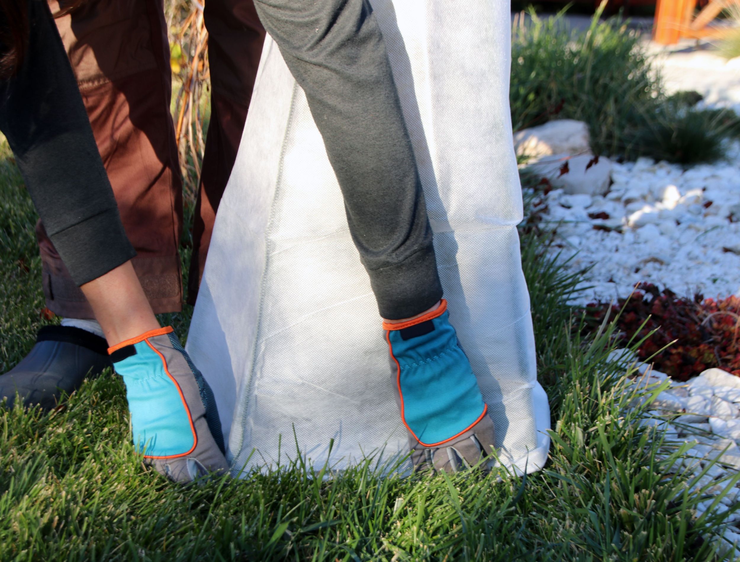 Frost-Proof Gardens: The Essential Guide to Winterizing Your Green Space