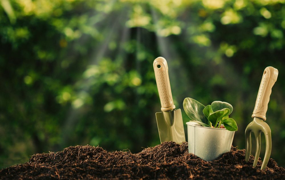 How To Improve Soil With Green Manure