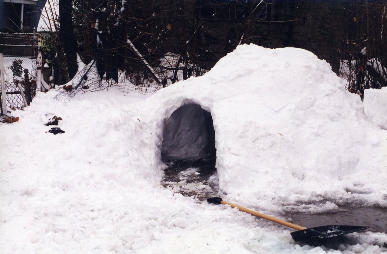 21 Winter Activities to Enjoy in Your Backyard